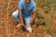 The attack | Dunn History