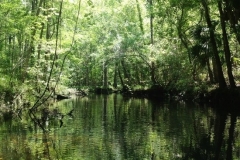 The attack | Dunn History